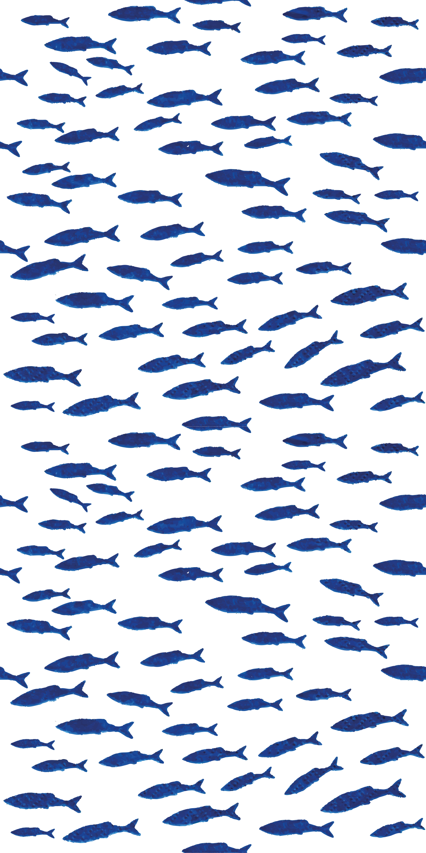 Swarming Fish Pattern animals blind