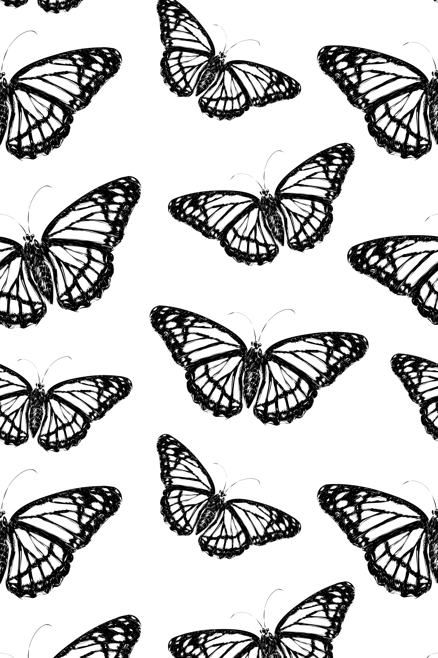 Black Butterfly Pattern butterflies blind