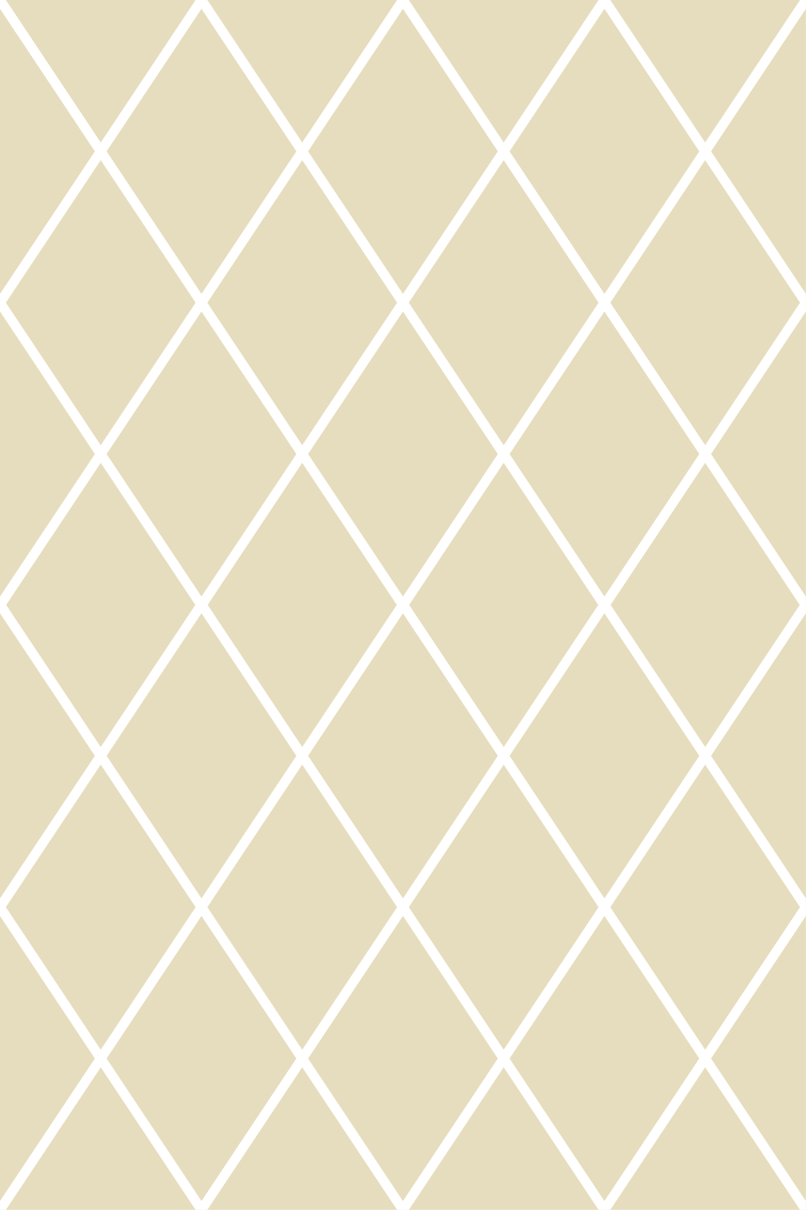 Diamond Pattern Elegance modern blind