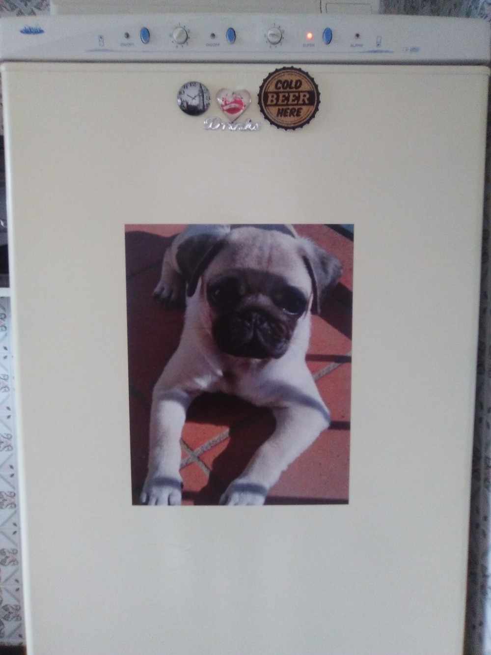 Personalise photo fridge sticker - TenStickers