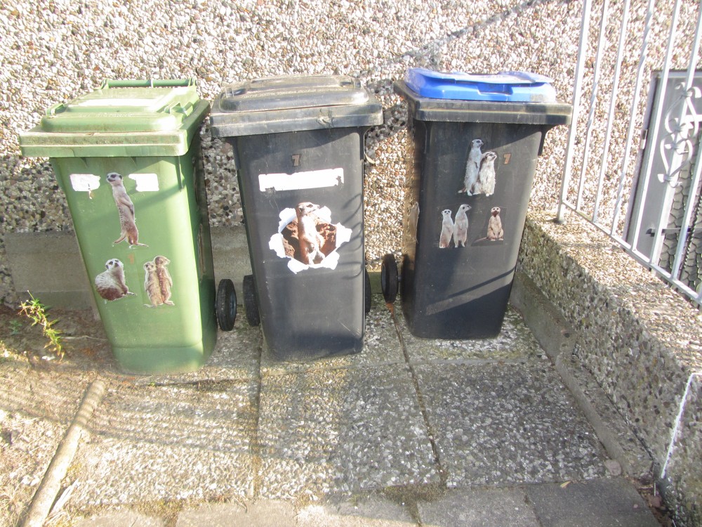 Container sticker stokstaartje 3D - TenStickers