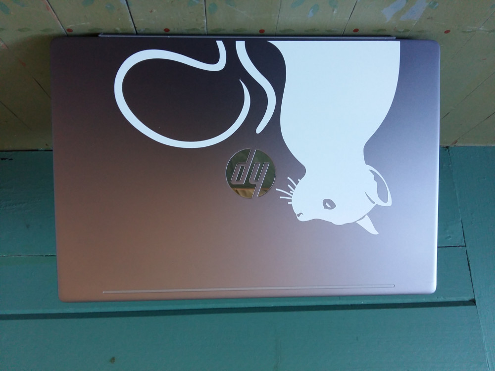 Laptop sticker Boom vogels - TenStickers