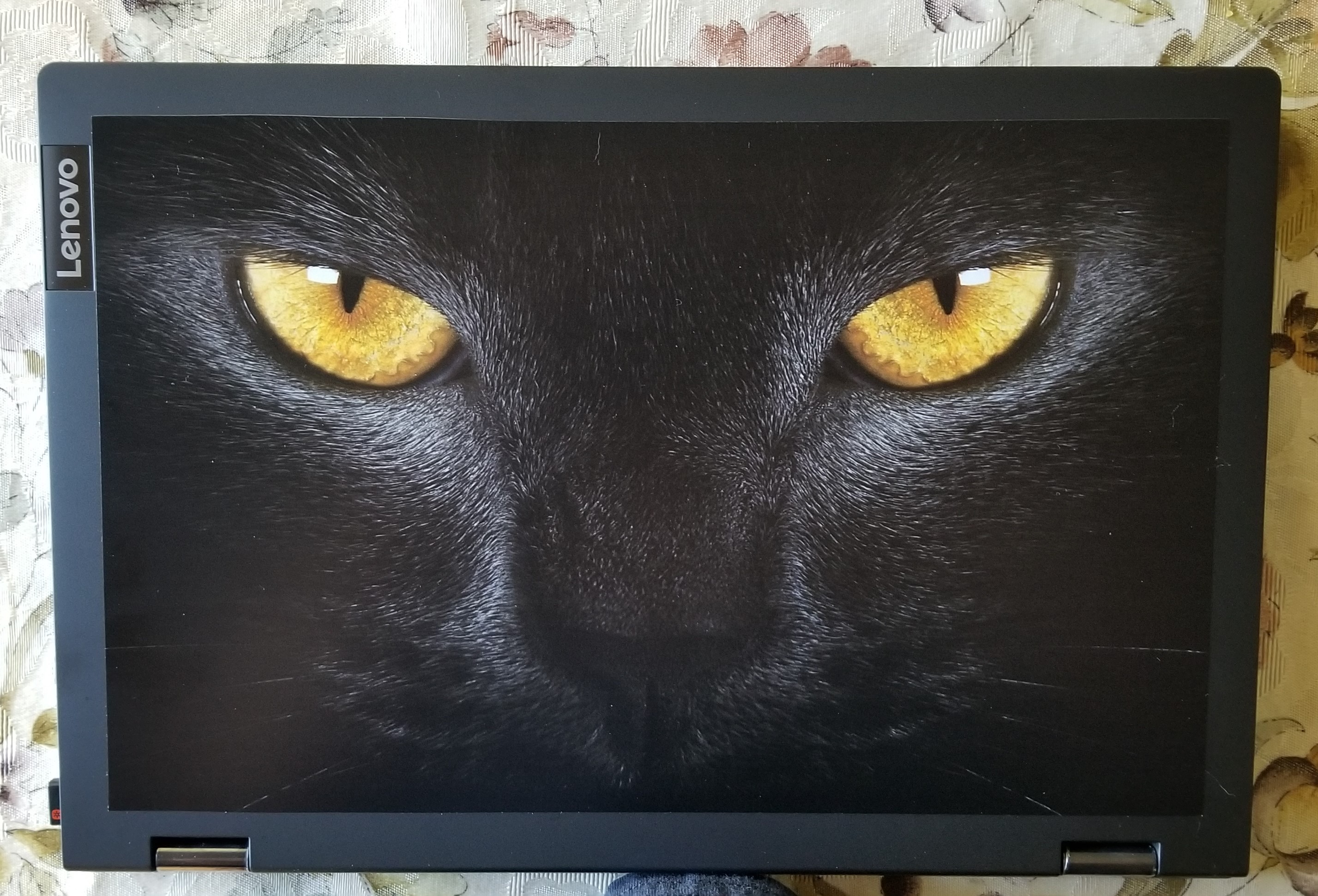 Close up black cat face laptop sticker - TenStickers