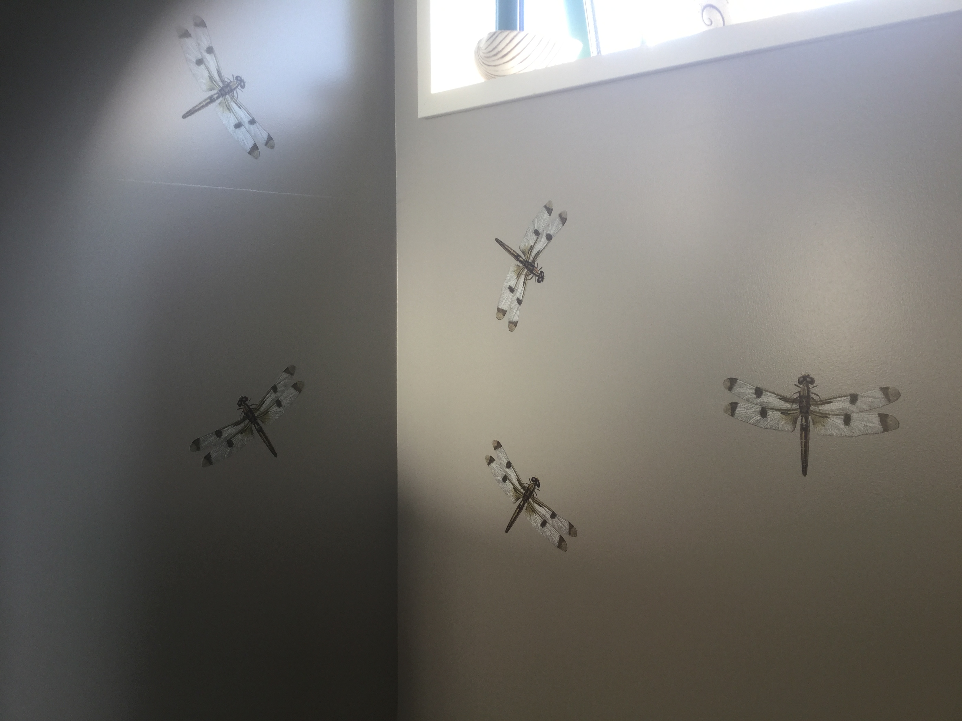 Vinilo pared libélula realista - TenVinilo