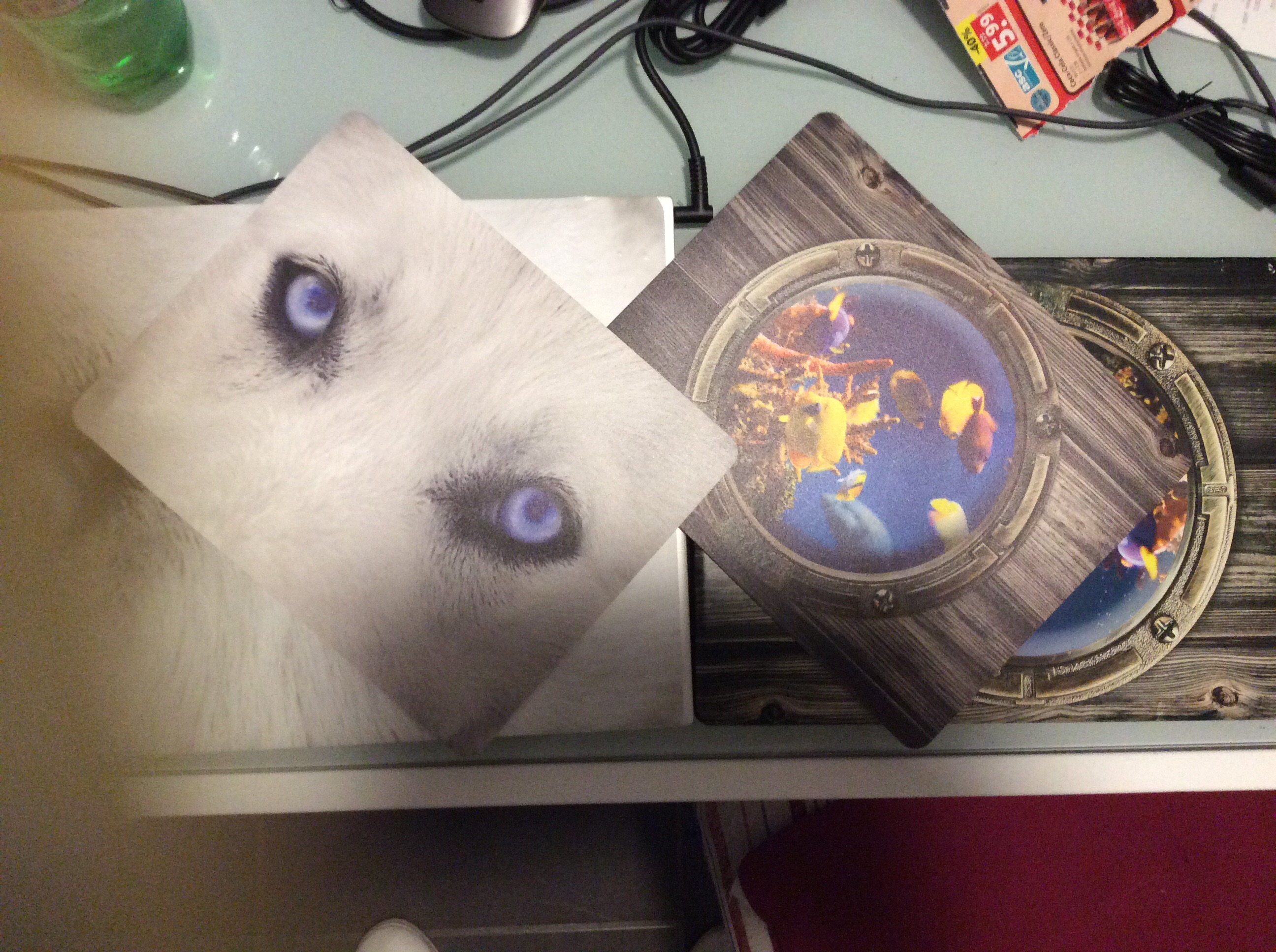 Wolf eyes laptop sticker - Tenstickers