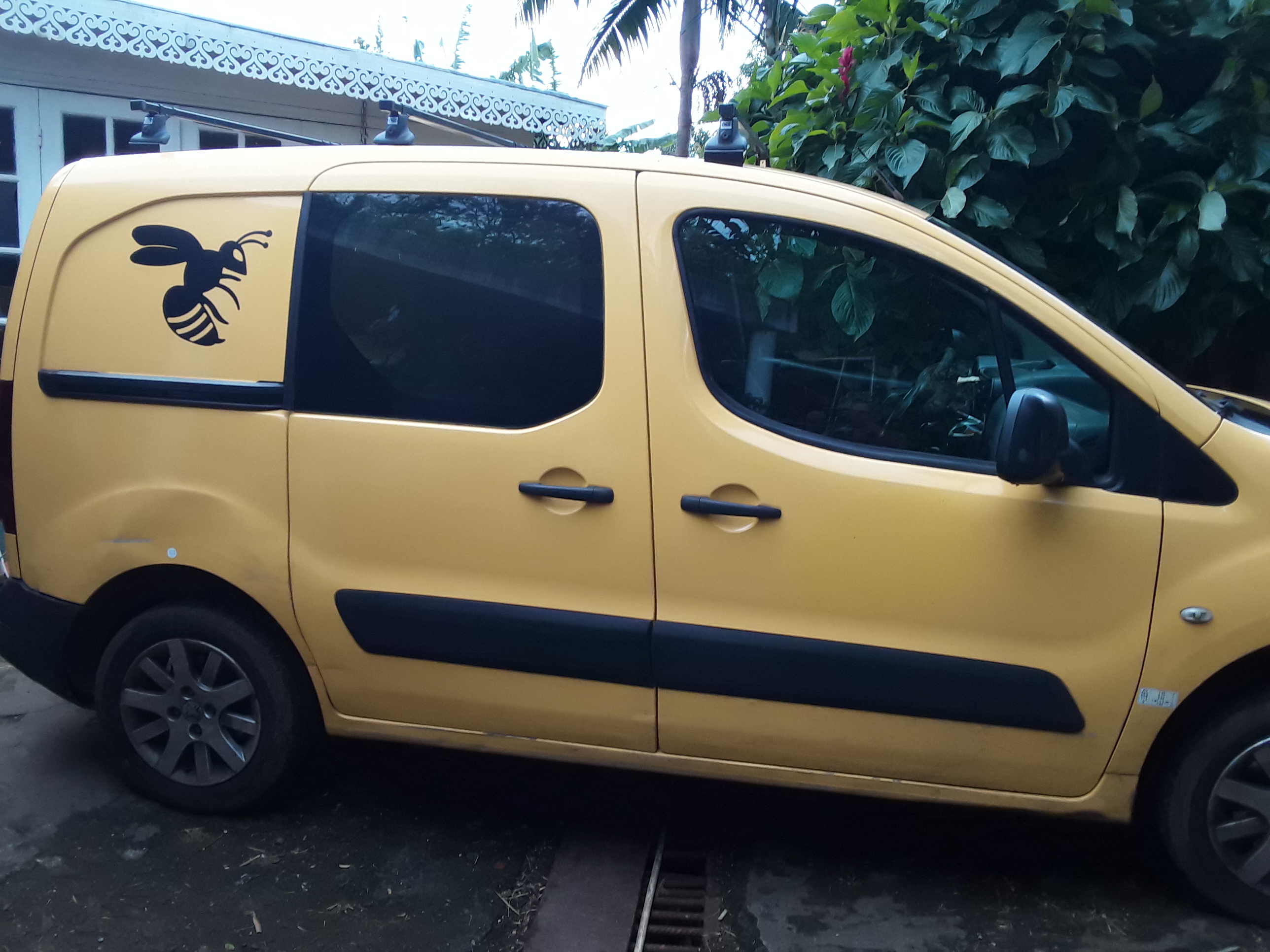 Wasp Car Decal - TenStickers