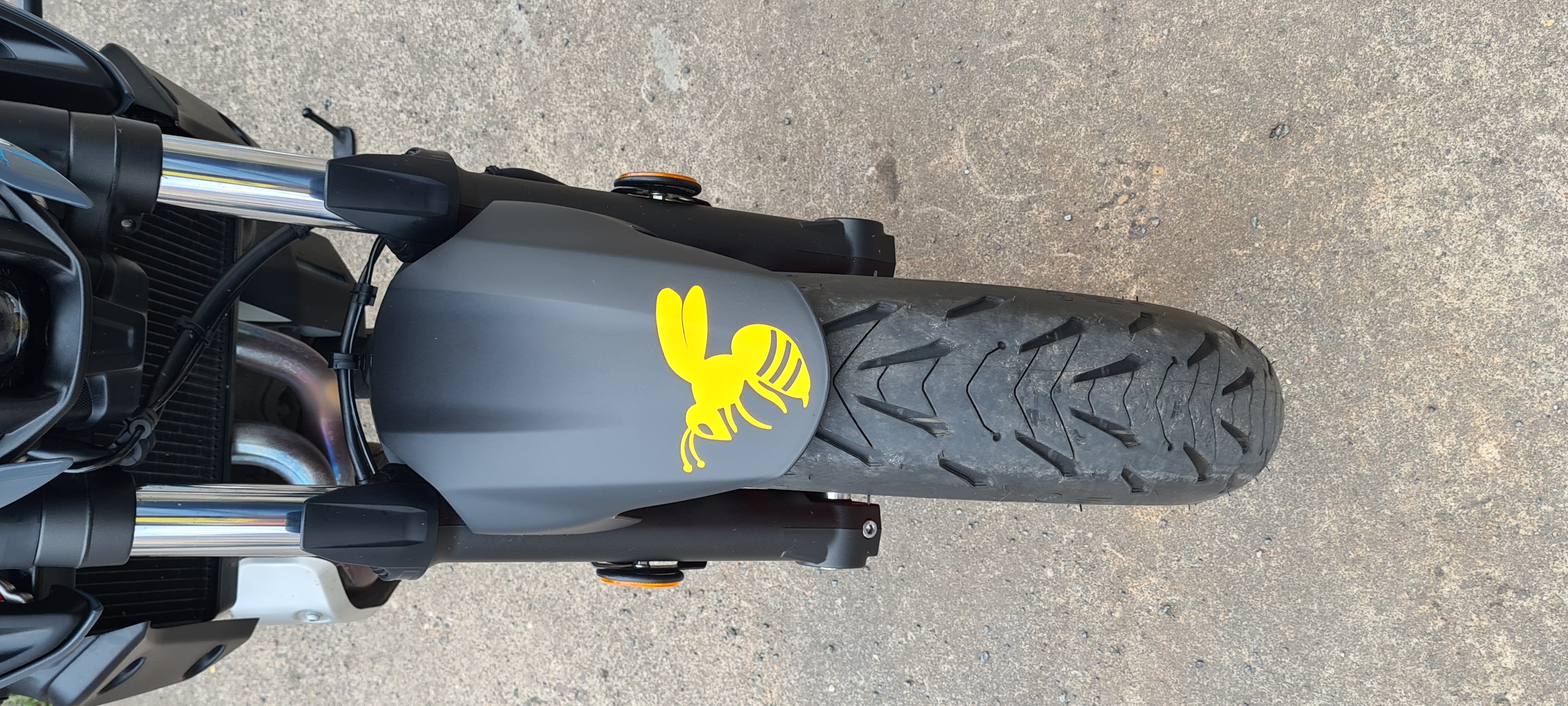 Wasp Car Decal - TenStickers