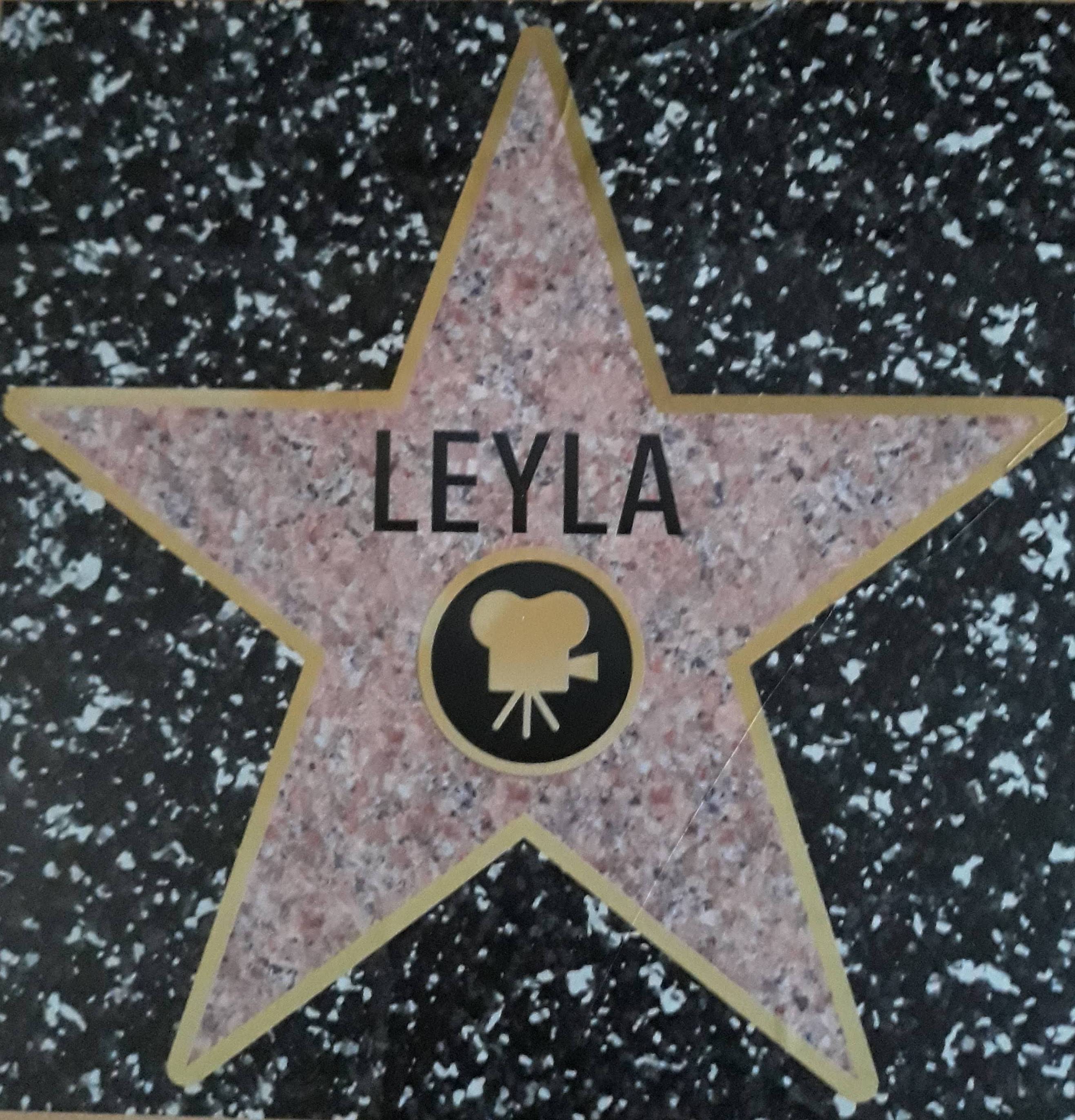Personalised Hollywood Star Floor Sticker - TenStickers