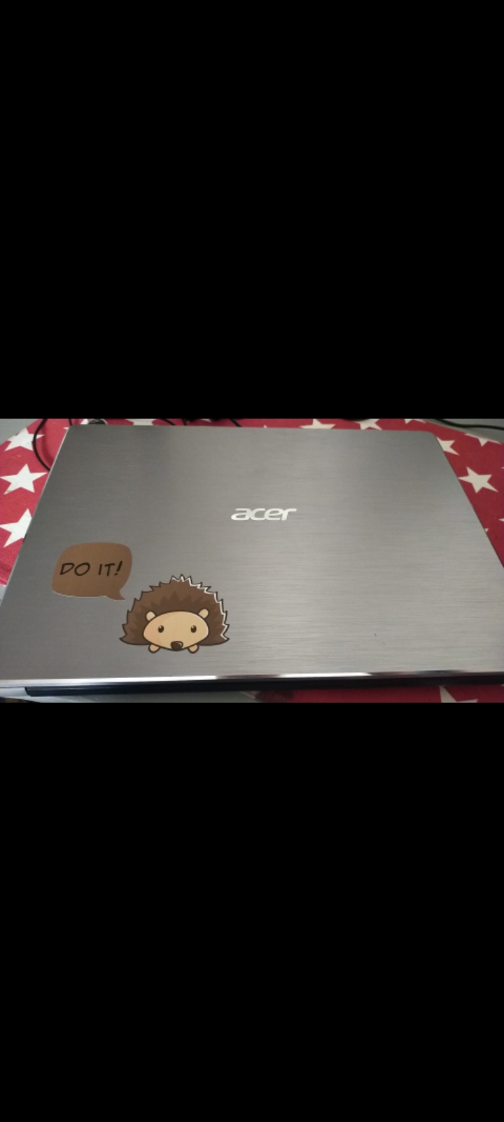Laptop sticker egel - TenStickers