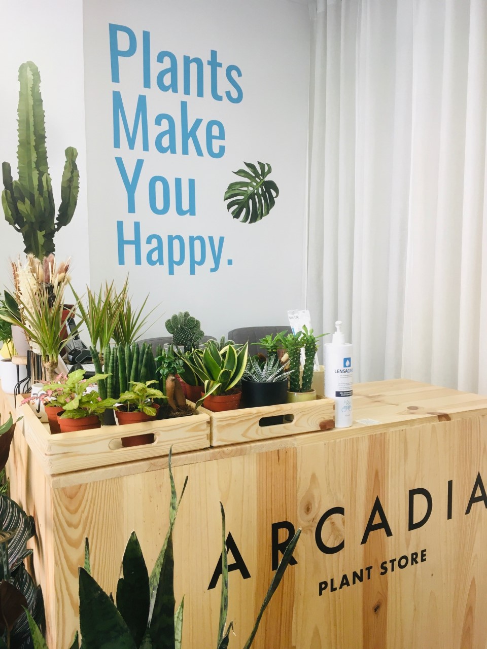 Swiss Cheese Plant Wall Sticker - TenStickers