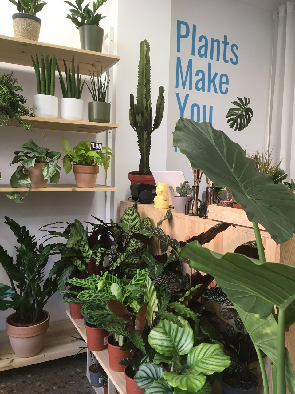 Swiss Cheese Plant Wall Sticker - TenStickers