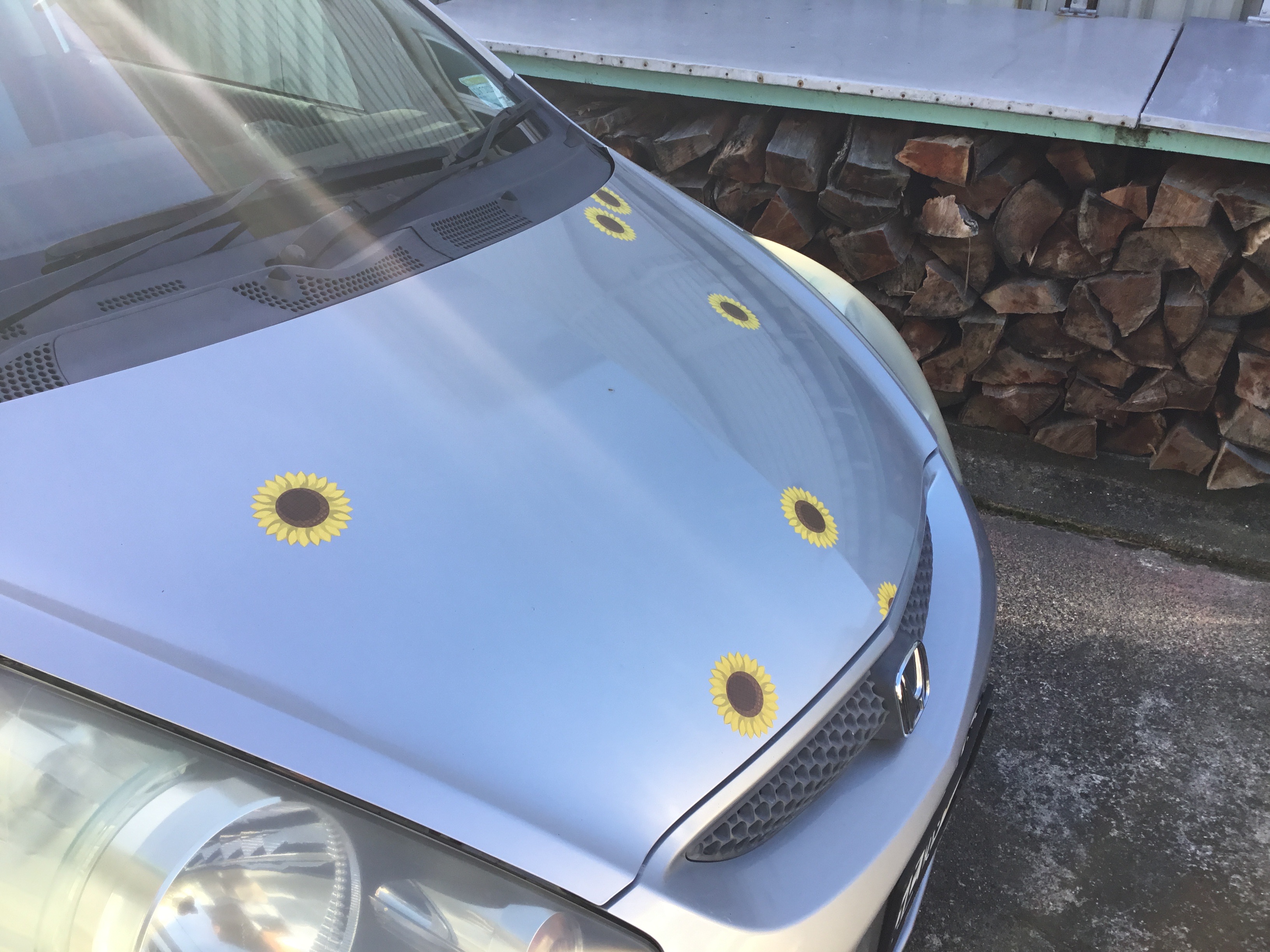 Adesivo auto Auto girasole - TenStickers