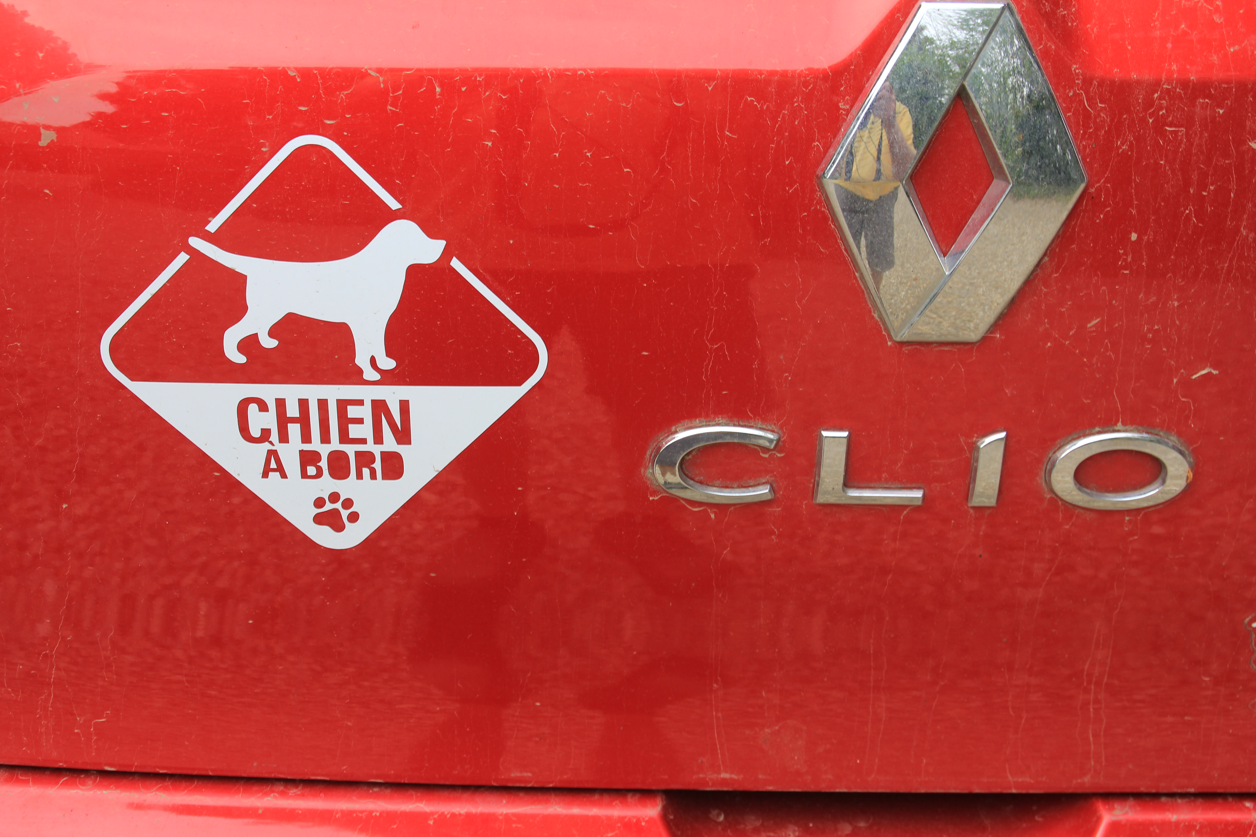 Hund pote bil klistermærke - TenStickers