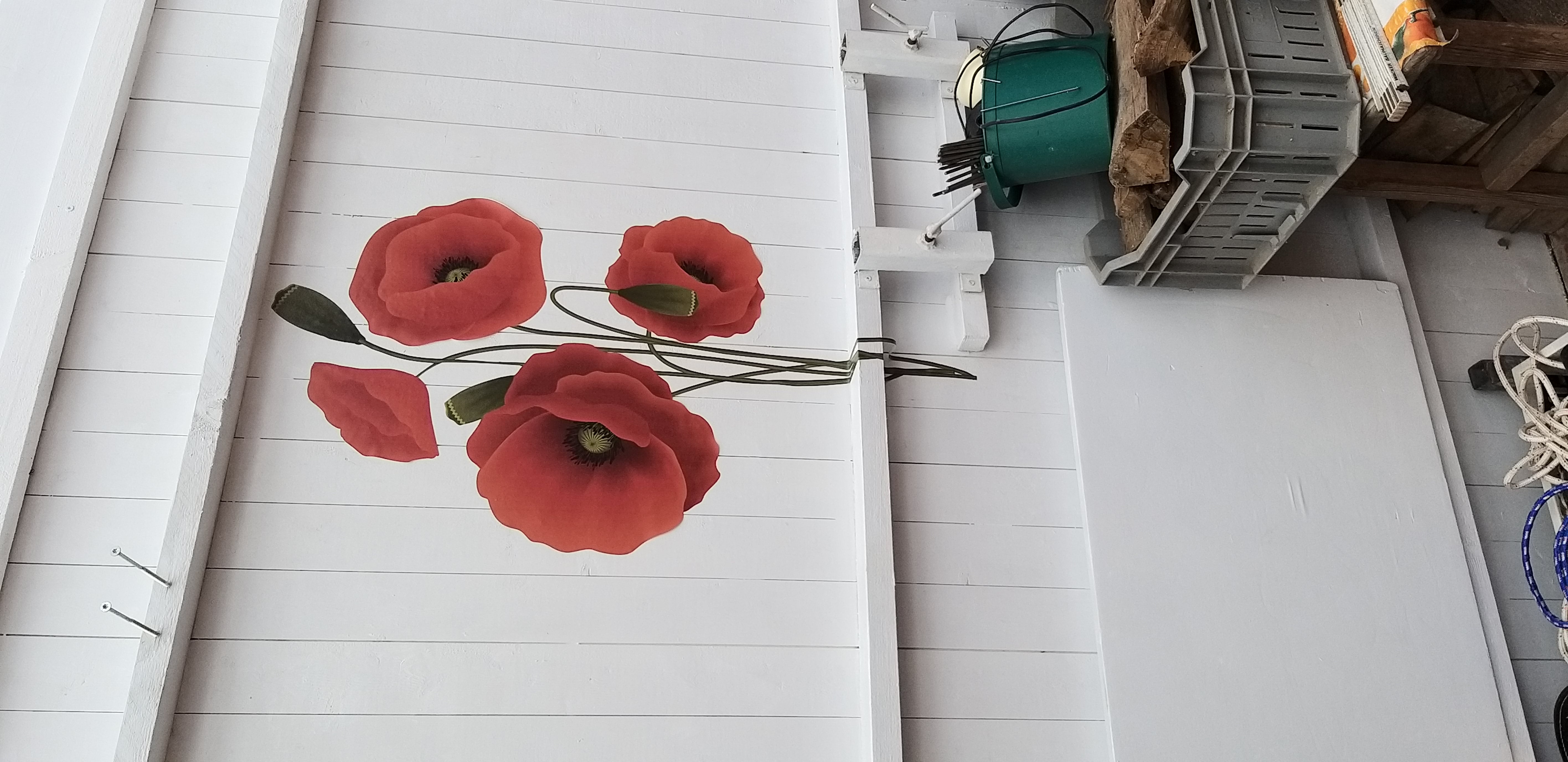 Delikat valmue-frø blomster vægdekor - TenStickers