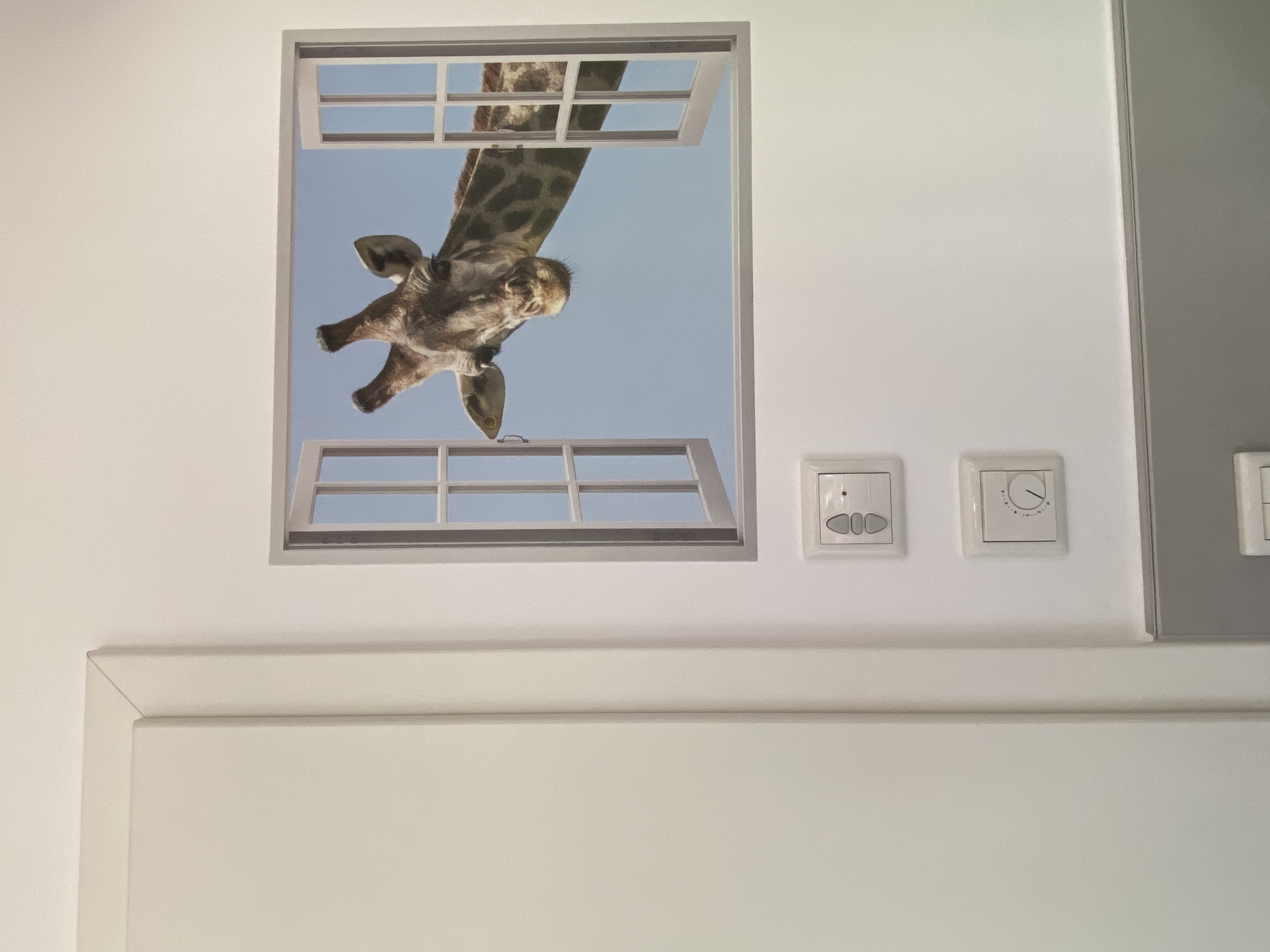 Giraffe through a window 3d animal wall sticker - TenStickers