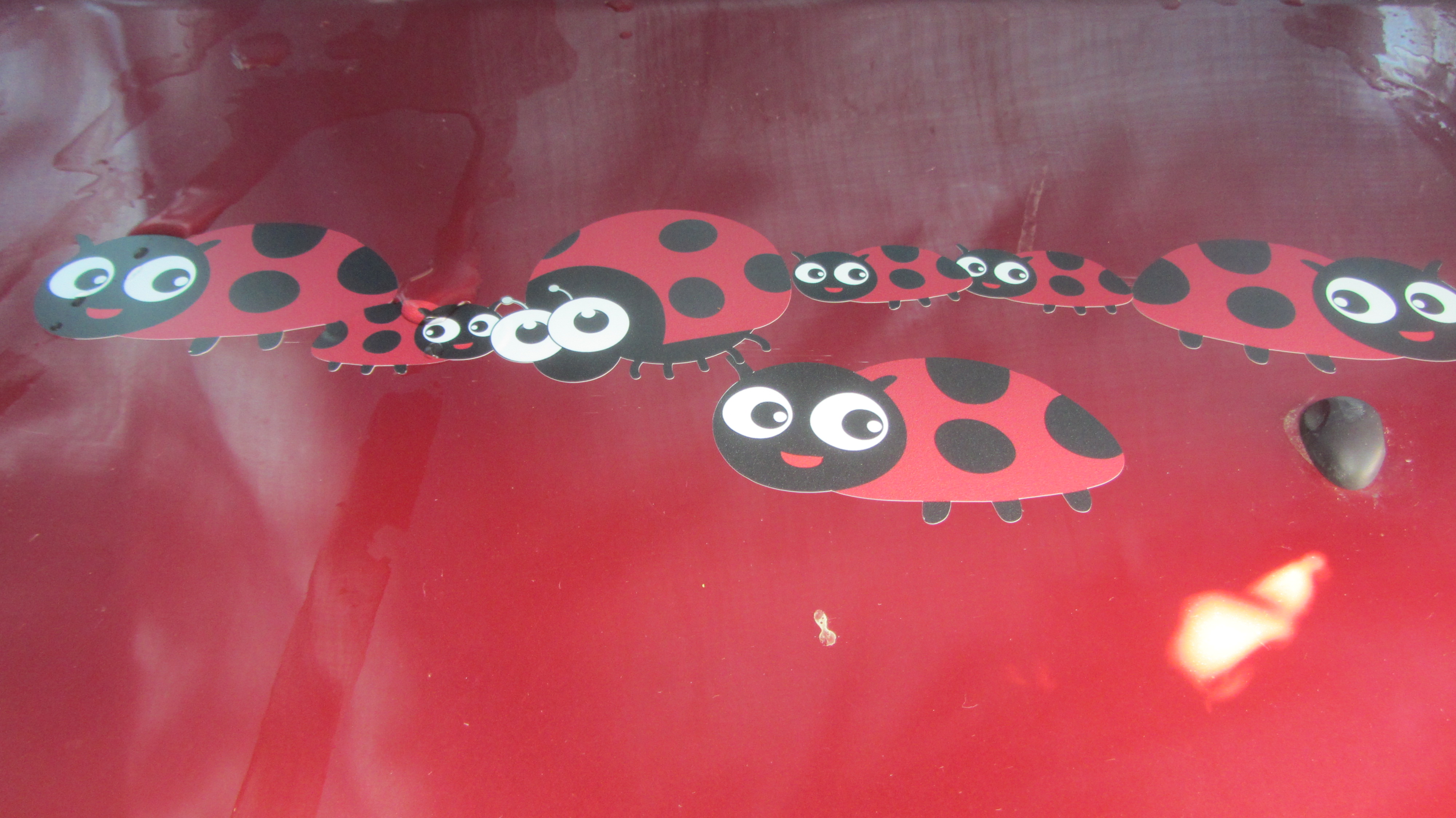 Cute ladybugs car sticker - TenStickers
