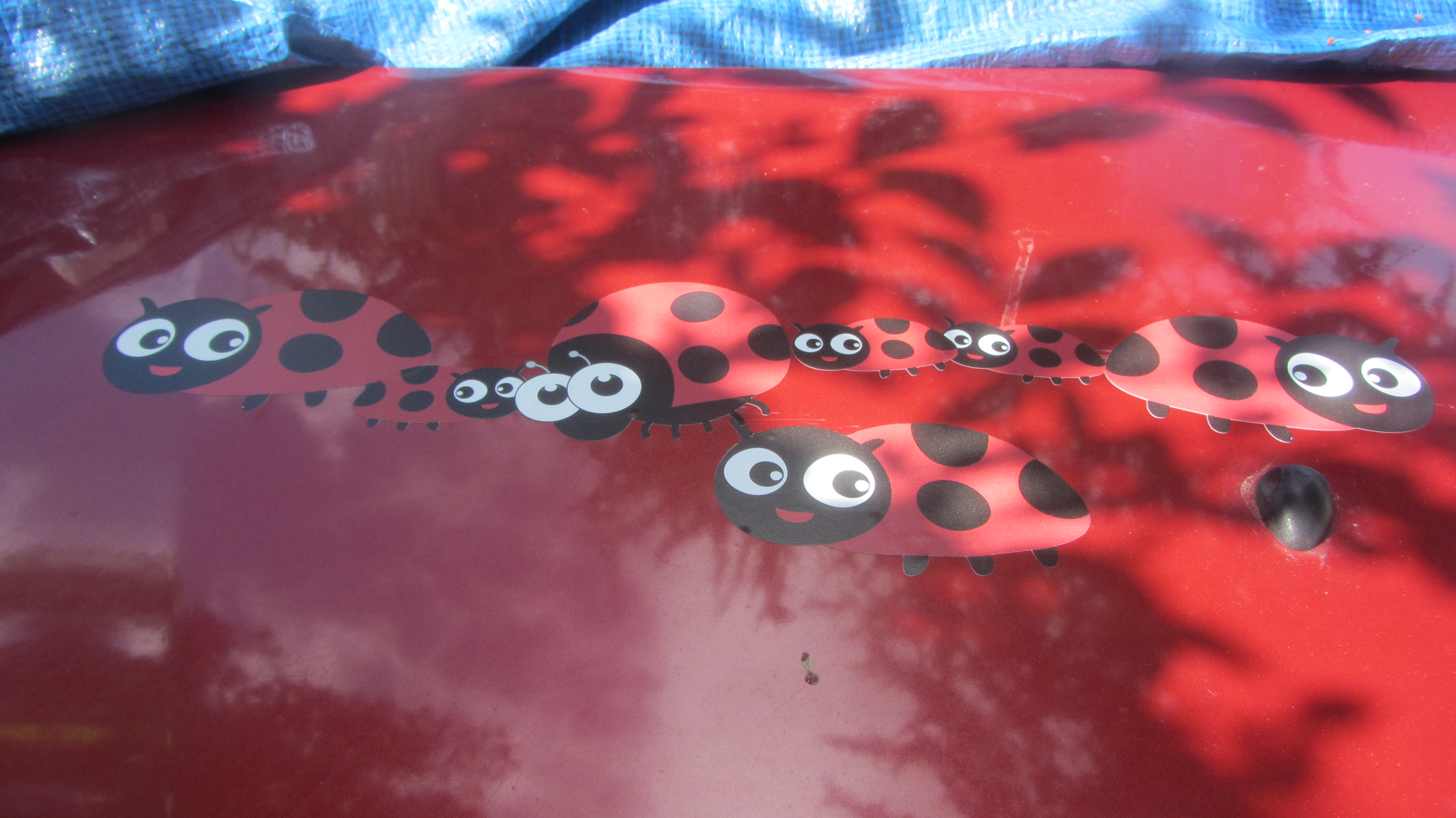 Cute ladybugs car sticker - TenStickers