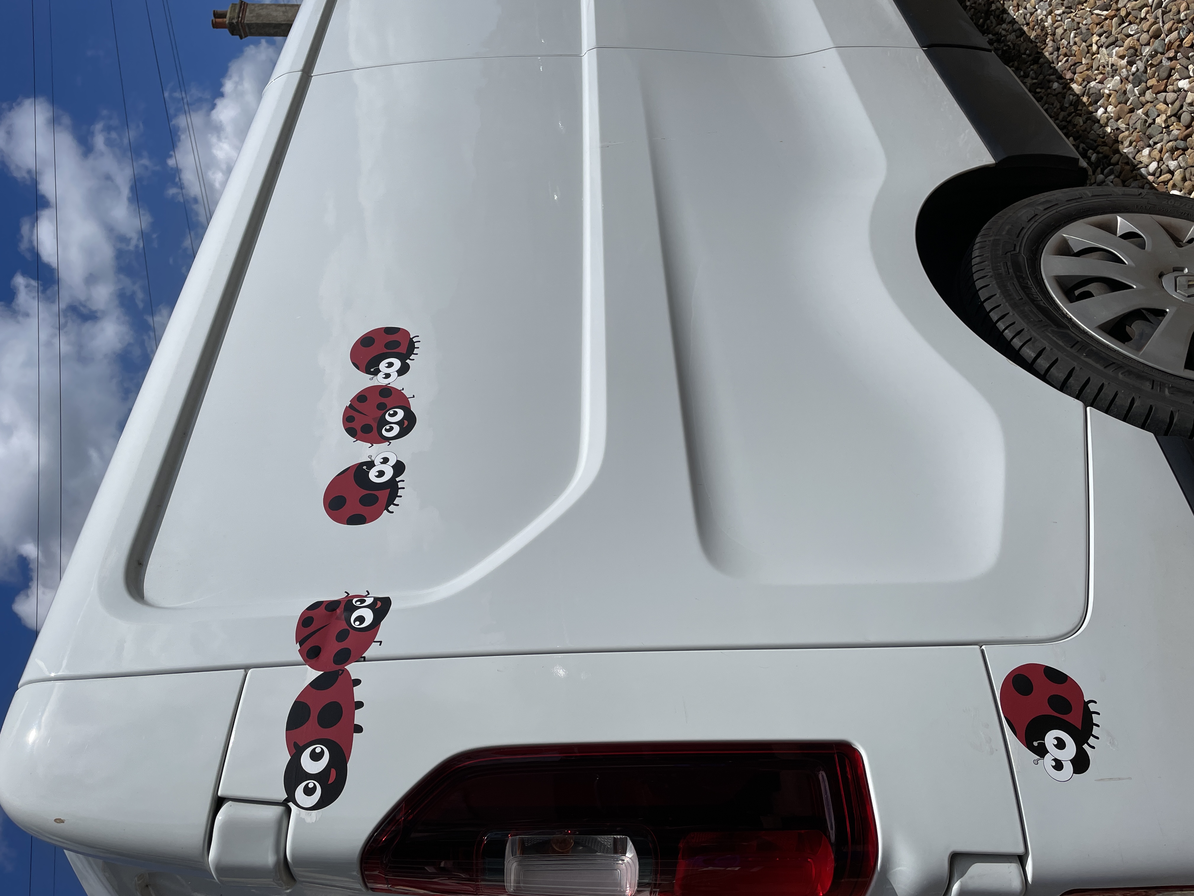 Cute ladybugs car sticker - TenStickers