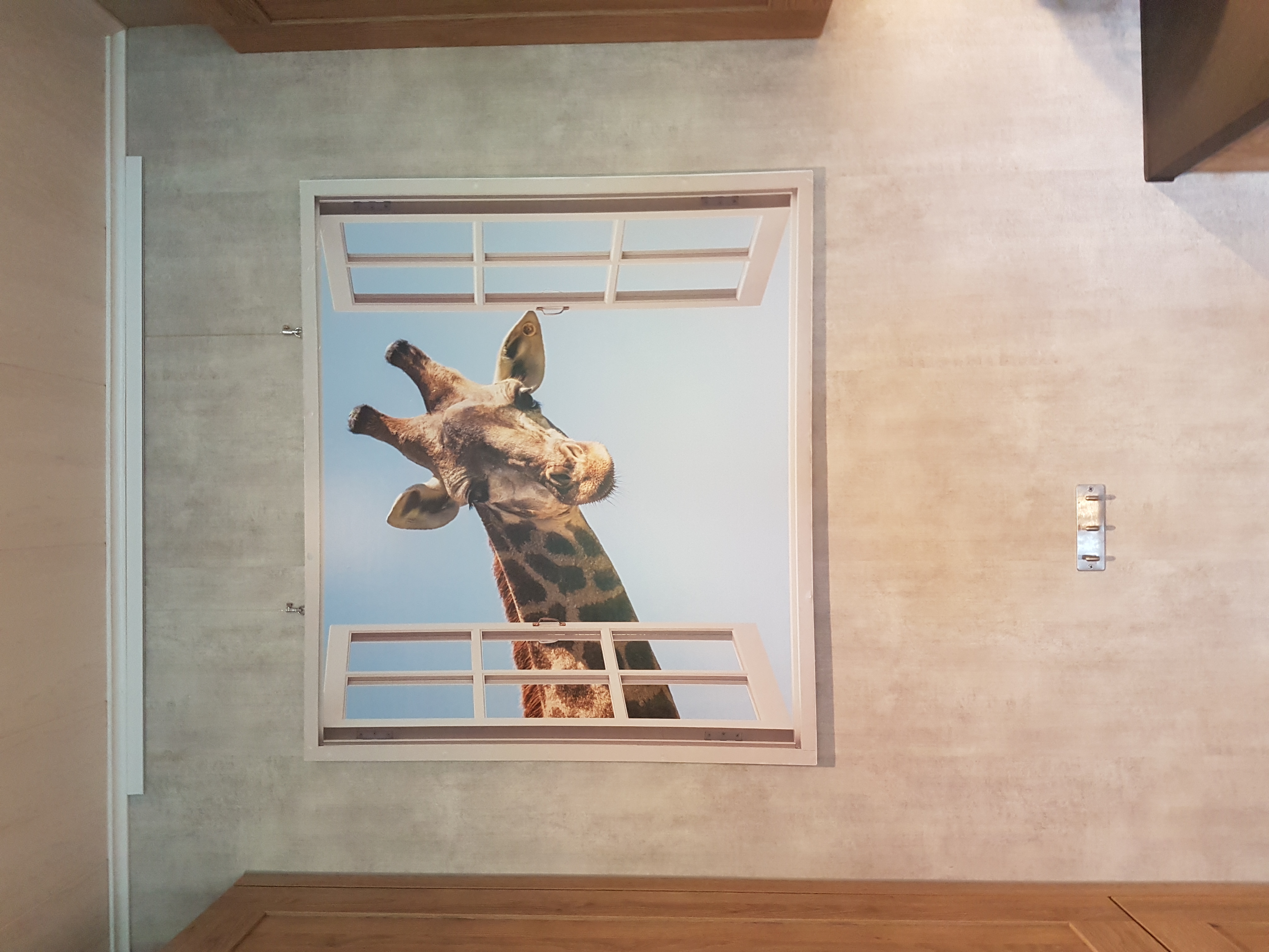 Giraffe through a window 3d animal wall sticker - TenStickers