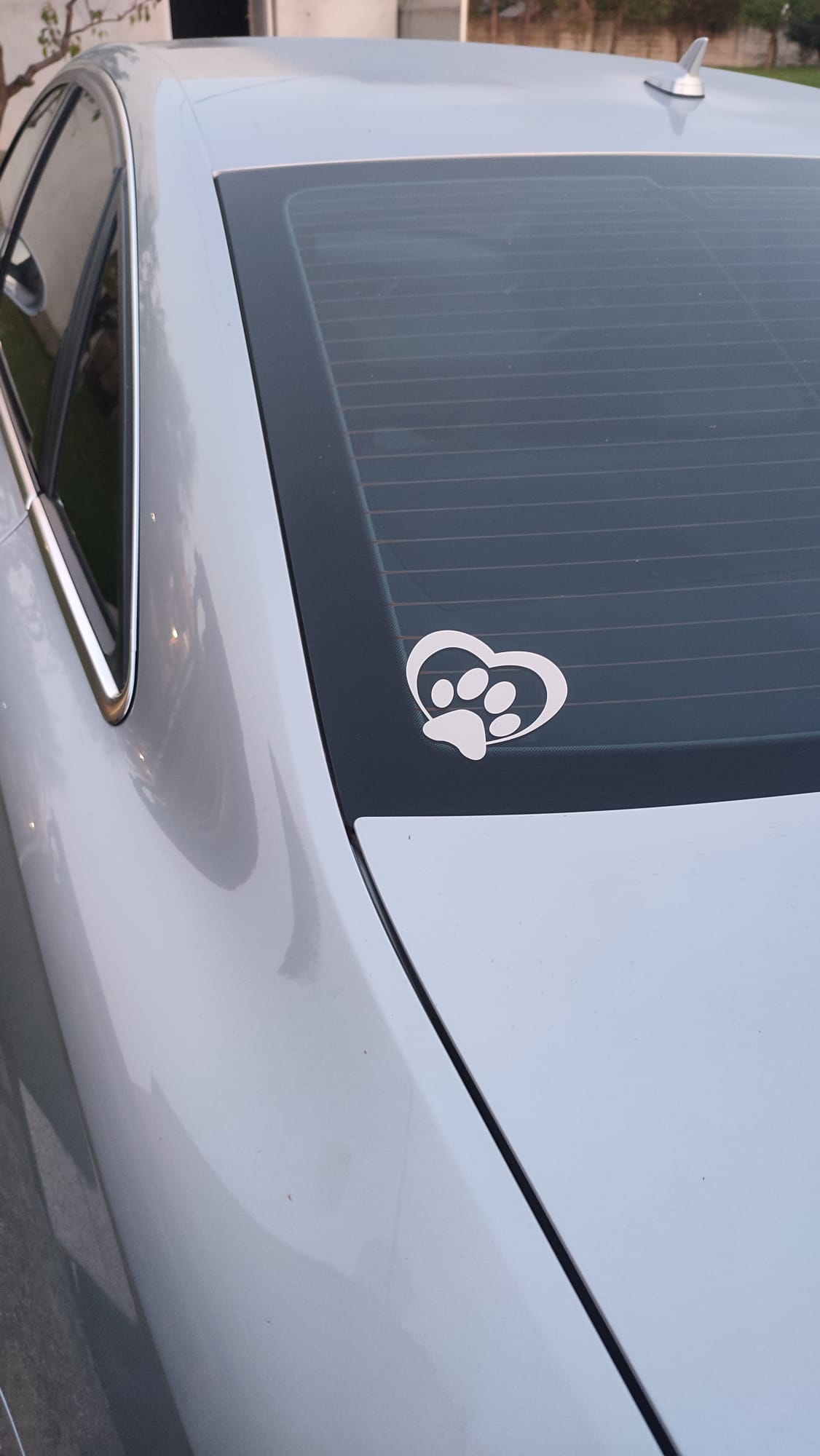 White daisy flower car decal - TenStickers