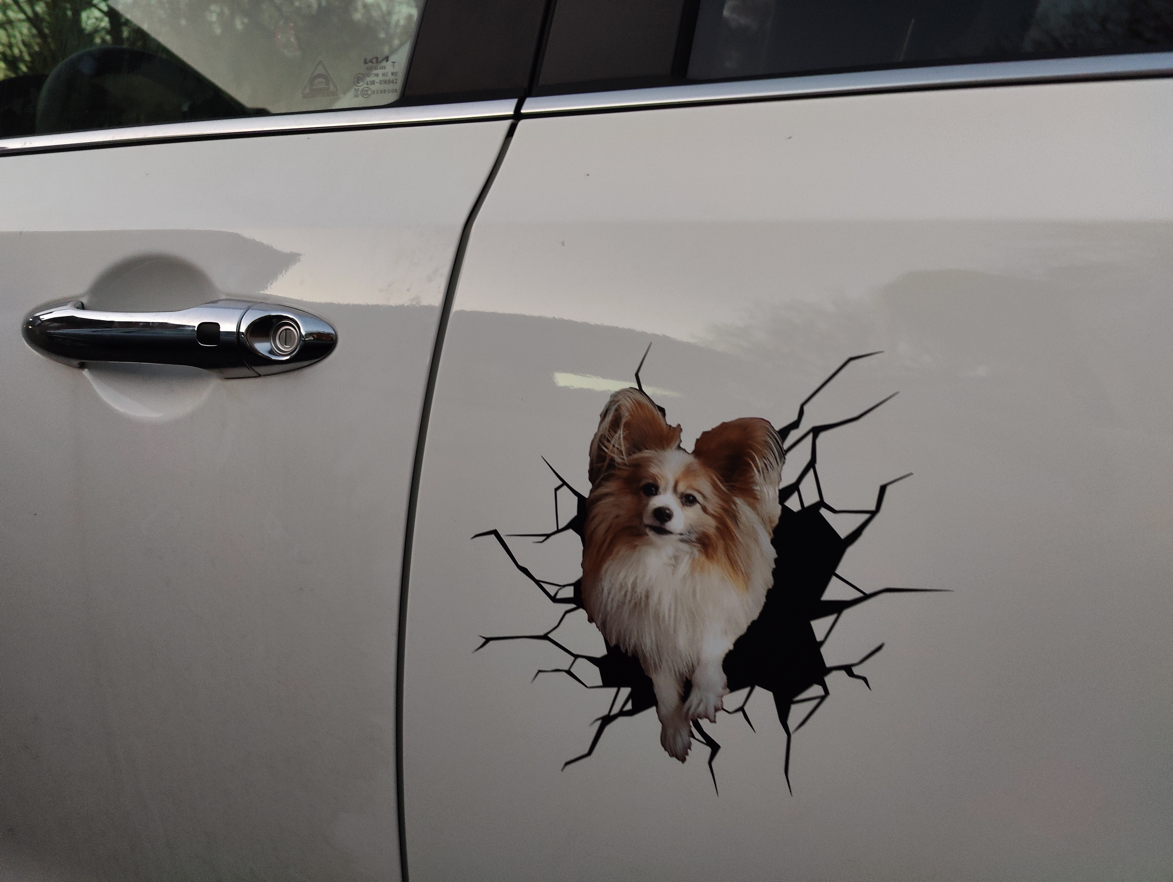 Dog car window sticker - TenStickers