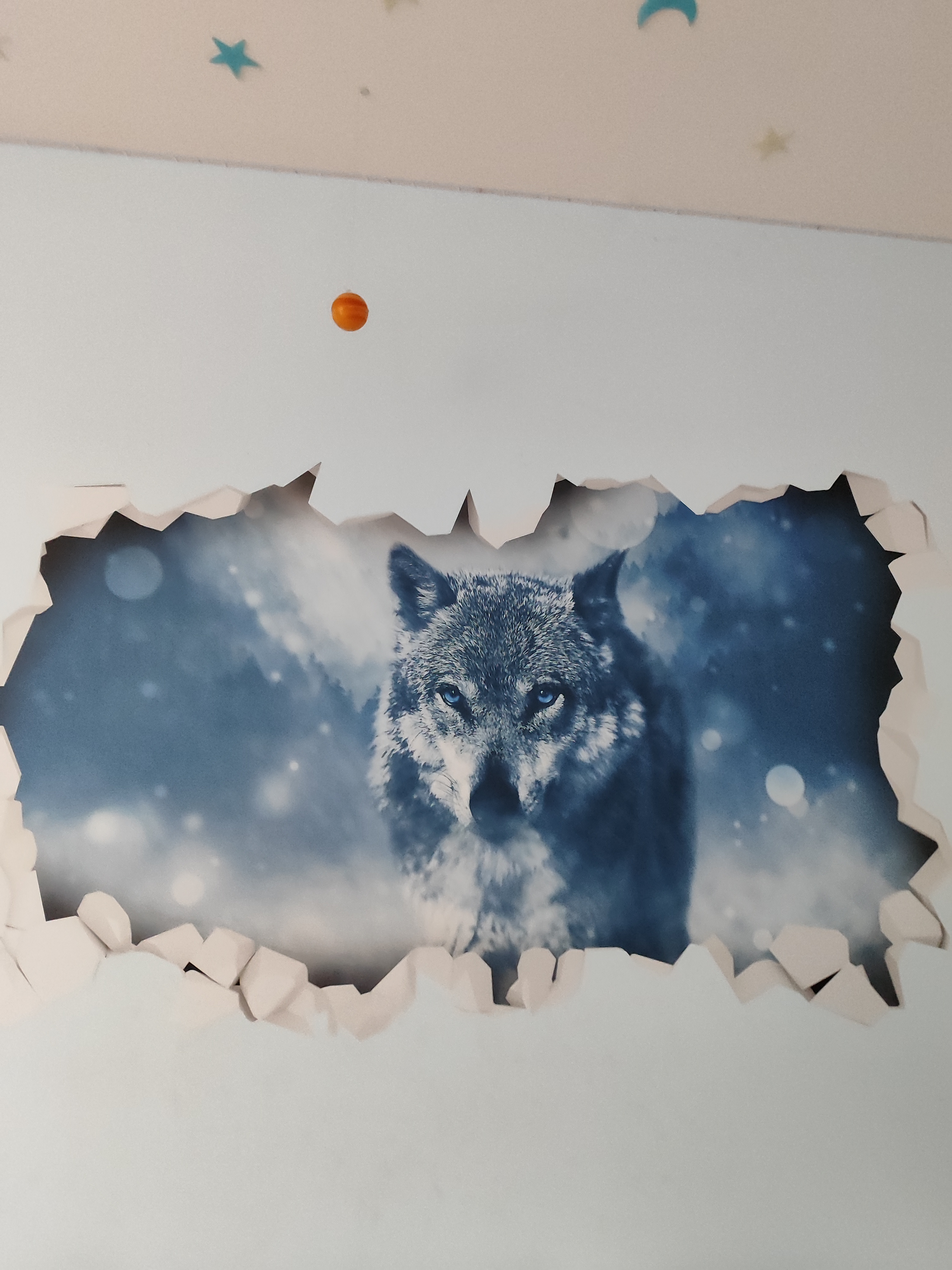 Vlk ve sněhu tapety obtisk - TenStickers