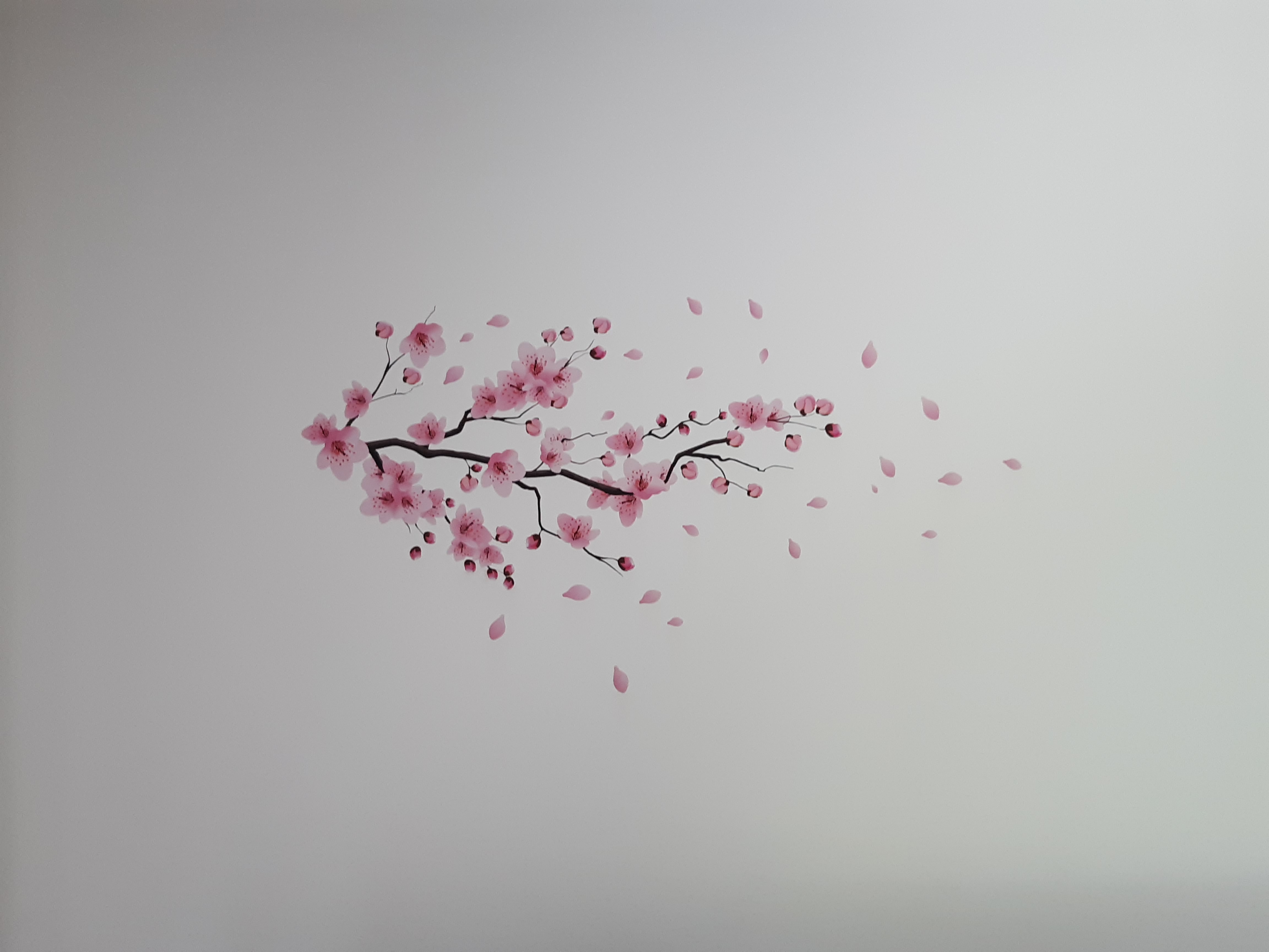 Adesivo murale soggiorno fiori di ciliegio primavera - TenStickers