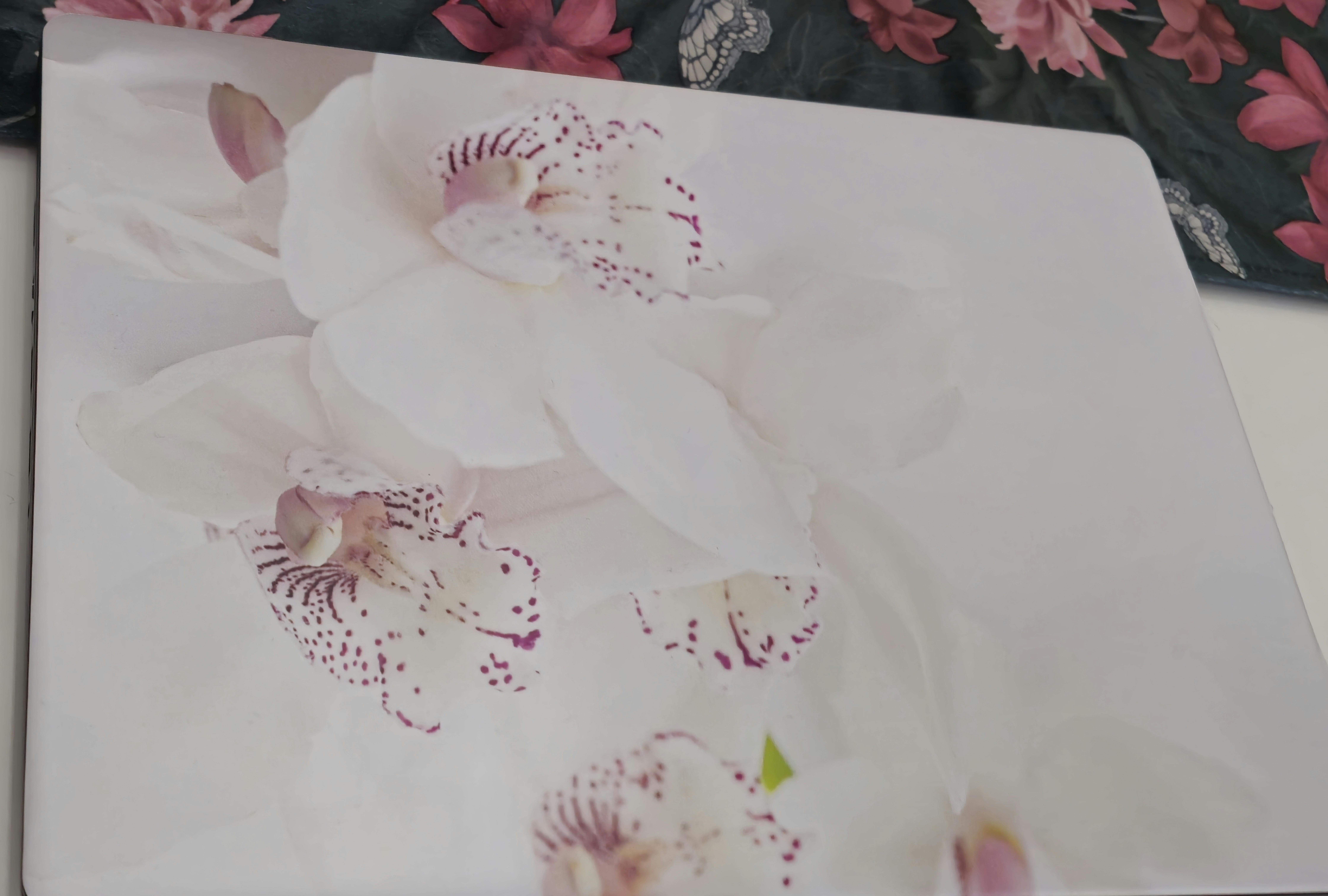 Bela orhideja prenosne kože - TenStickers