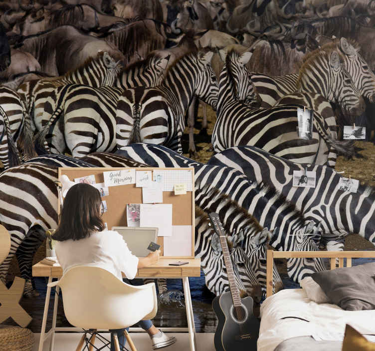 Zebras in Motion wall mural animals