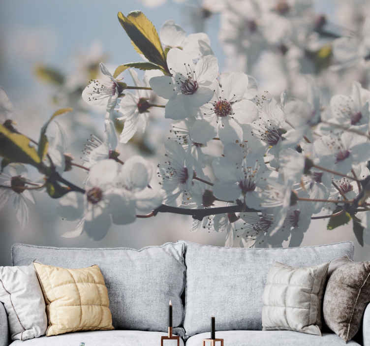 Sakura Blossom Stem flower mural