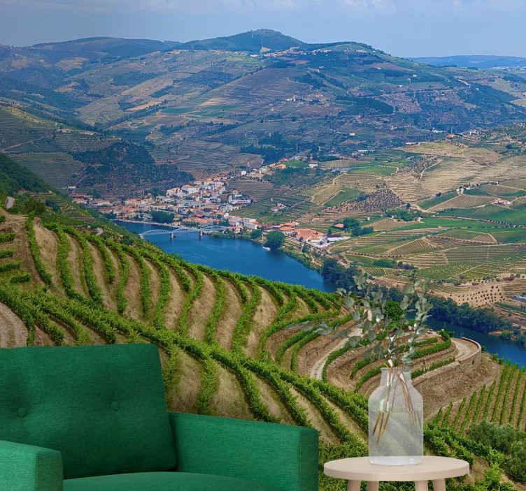 Vineyard valley river landscape mural