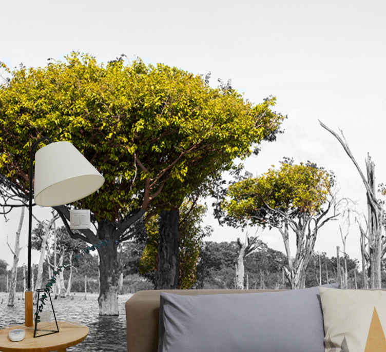 Big dry trees africa wall mural