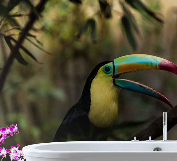 Tucan in jungle photo wall mural - TenStickers