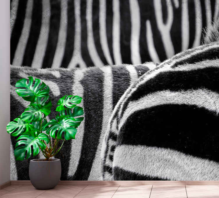 Realistische zebrastrepen foto behang dieren
