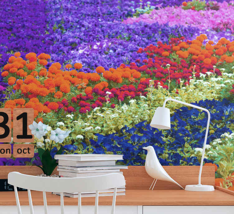 Colorful field flower wall mural