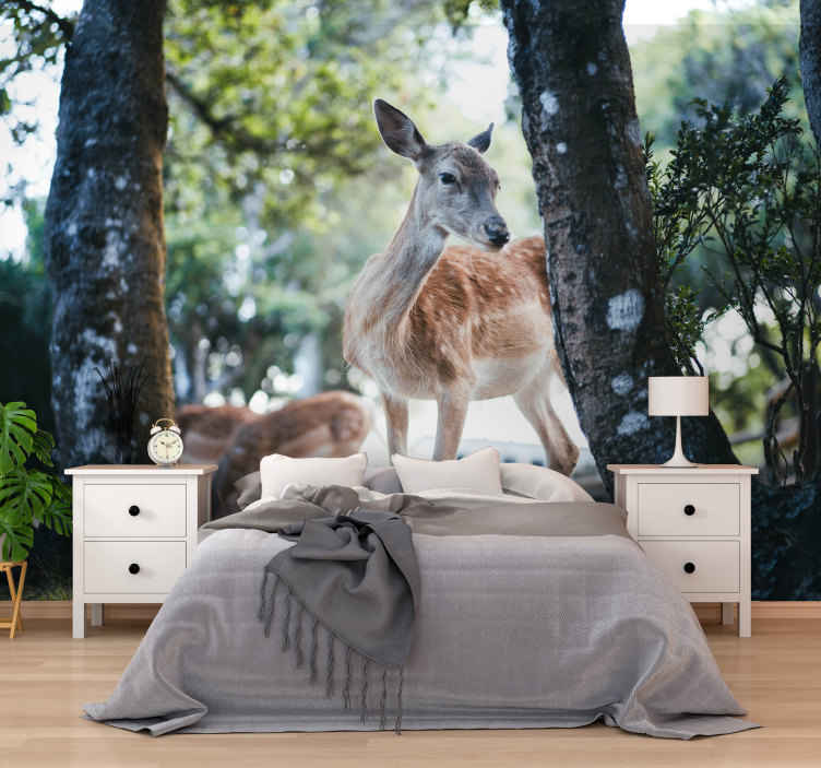 Wild Deer nature mural wallpaper - TenStickers