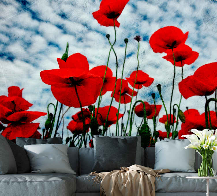 Zataženo modré nebe Maková fototapeta