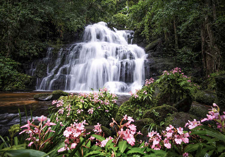 Waterfalls and pink flowers waterfall mural - TenStickers
