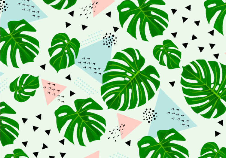 Monstera triangles nature wall mural - TenStickers