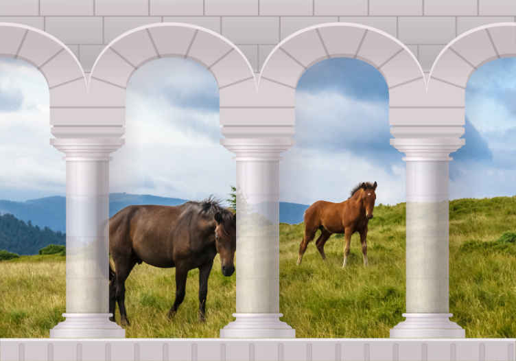 Kone v lesnej nástennej tapety - Tenstickers