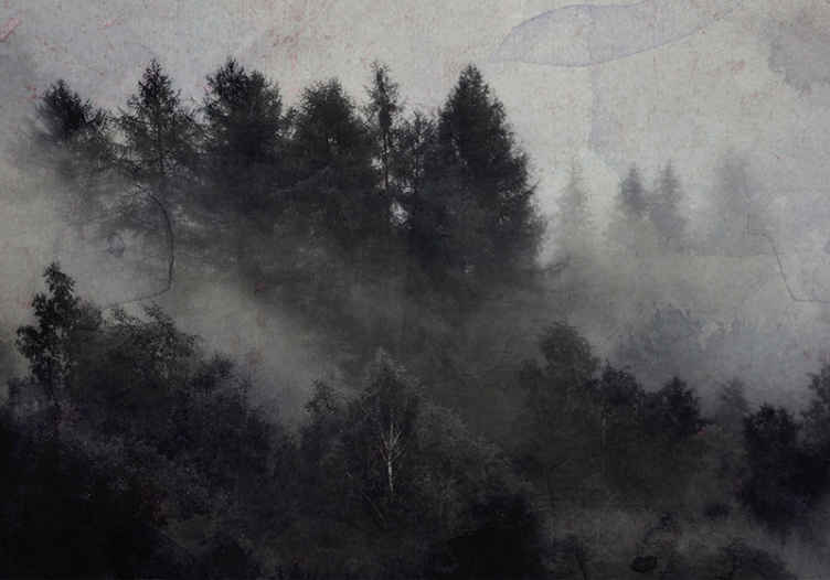 Papel mural bosque atmósfera brumosa y brumosa