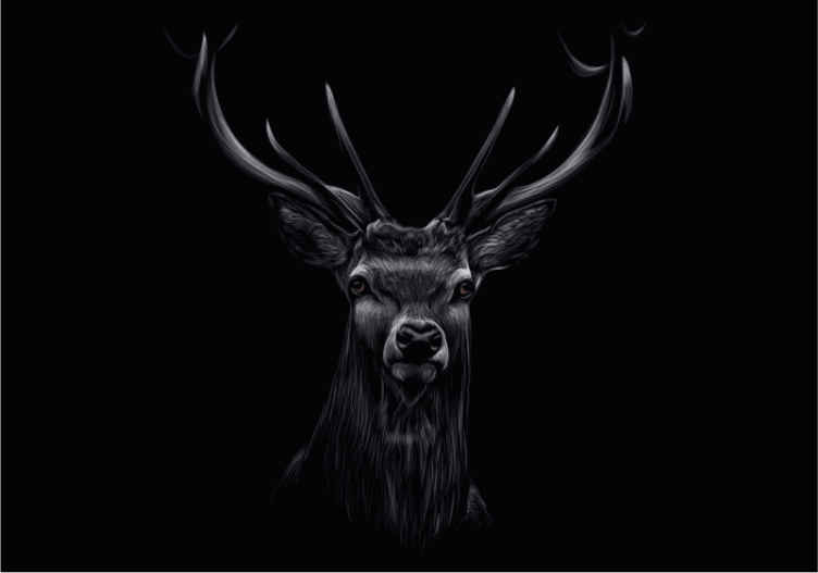 Posh hjort fototapet tapet - TenStickers