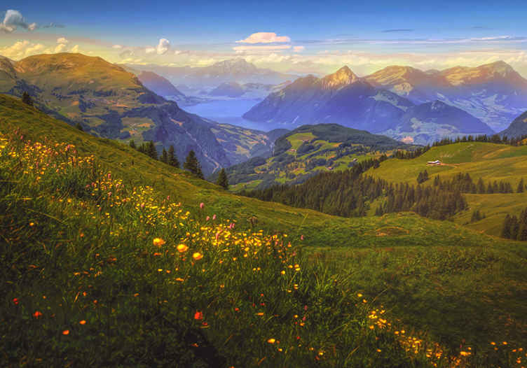 Beautiful grass field with mountains nature murals - TenStickers