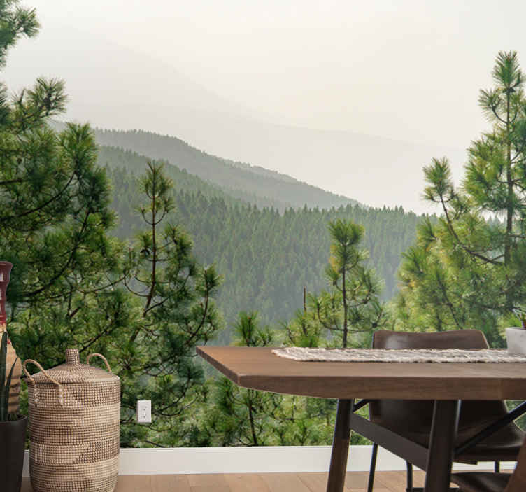 Trädkronor från ovan skog tapeter - Tenstickers