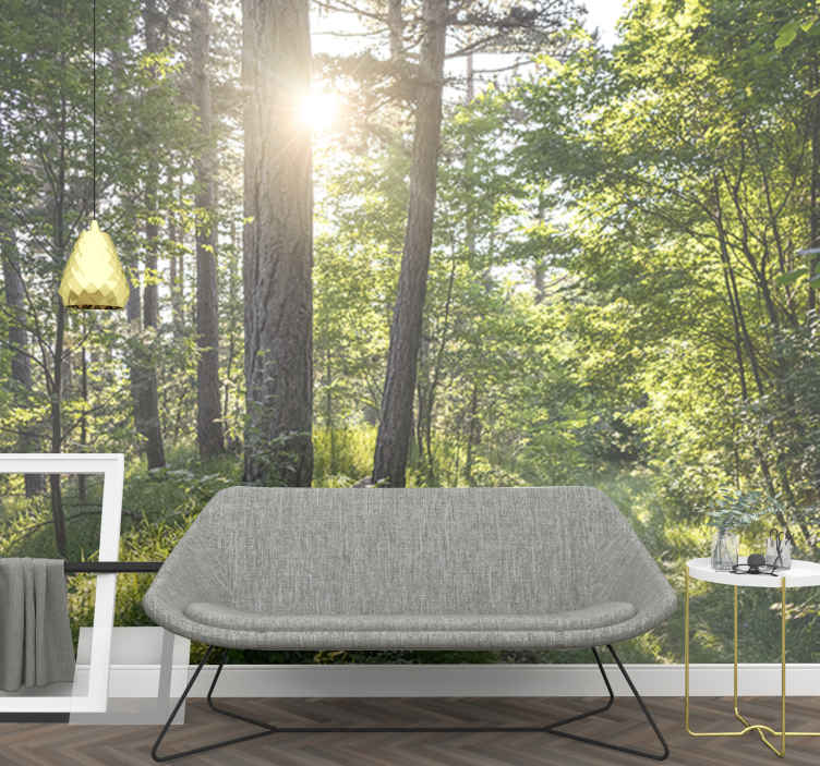 Solig dag i skogen skog tapeter - Tenstickers