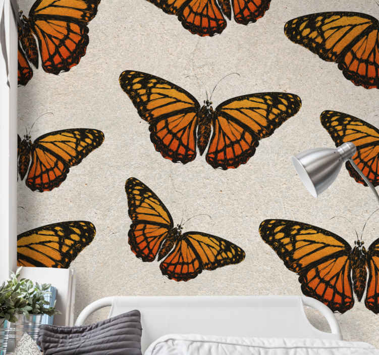 Vintage Monarch Butterfly Wing wall murals for teenage bedrooms ...