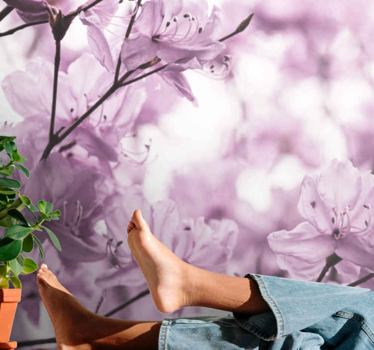 Delicate roze bloesems bloemen foto behang