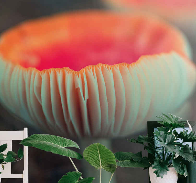 Fotomurais paisagistícos Guelras de cogumelo vermelho - TenStickers