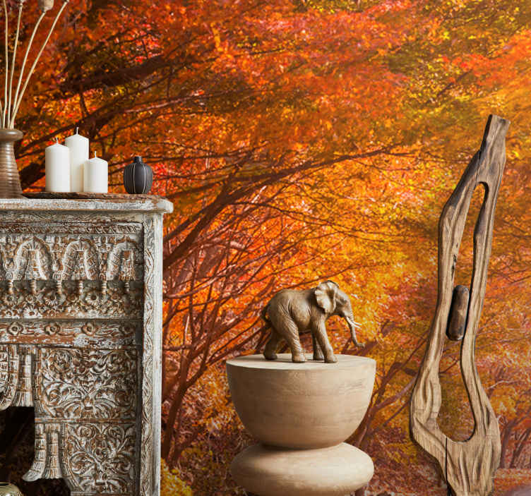 Tree orange autumn leaves nature murals - TenStickers