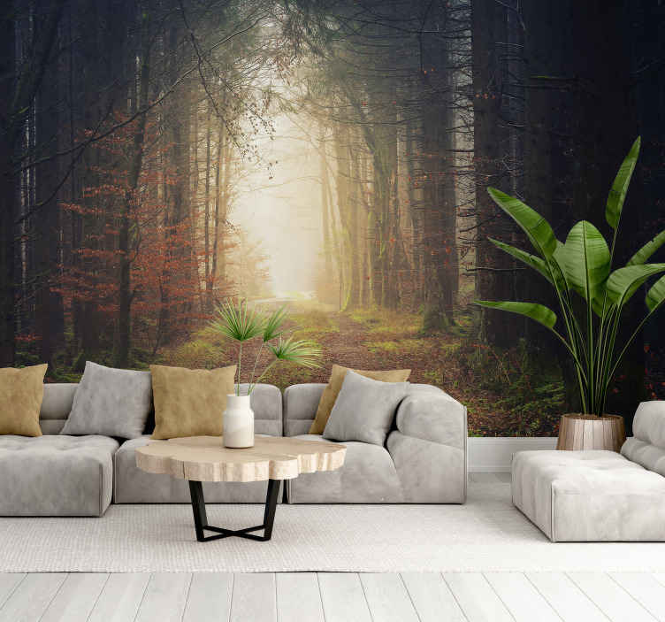 Autumn Forest Path Wall Mural